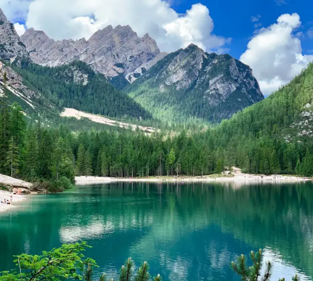 About Us | Siam Dial Official Website